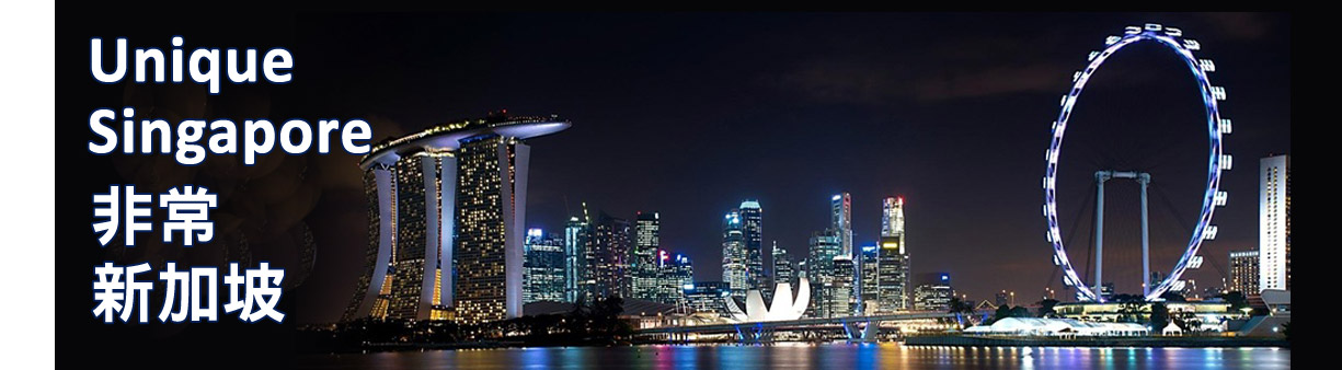 HS Travel International Co. Ltd.